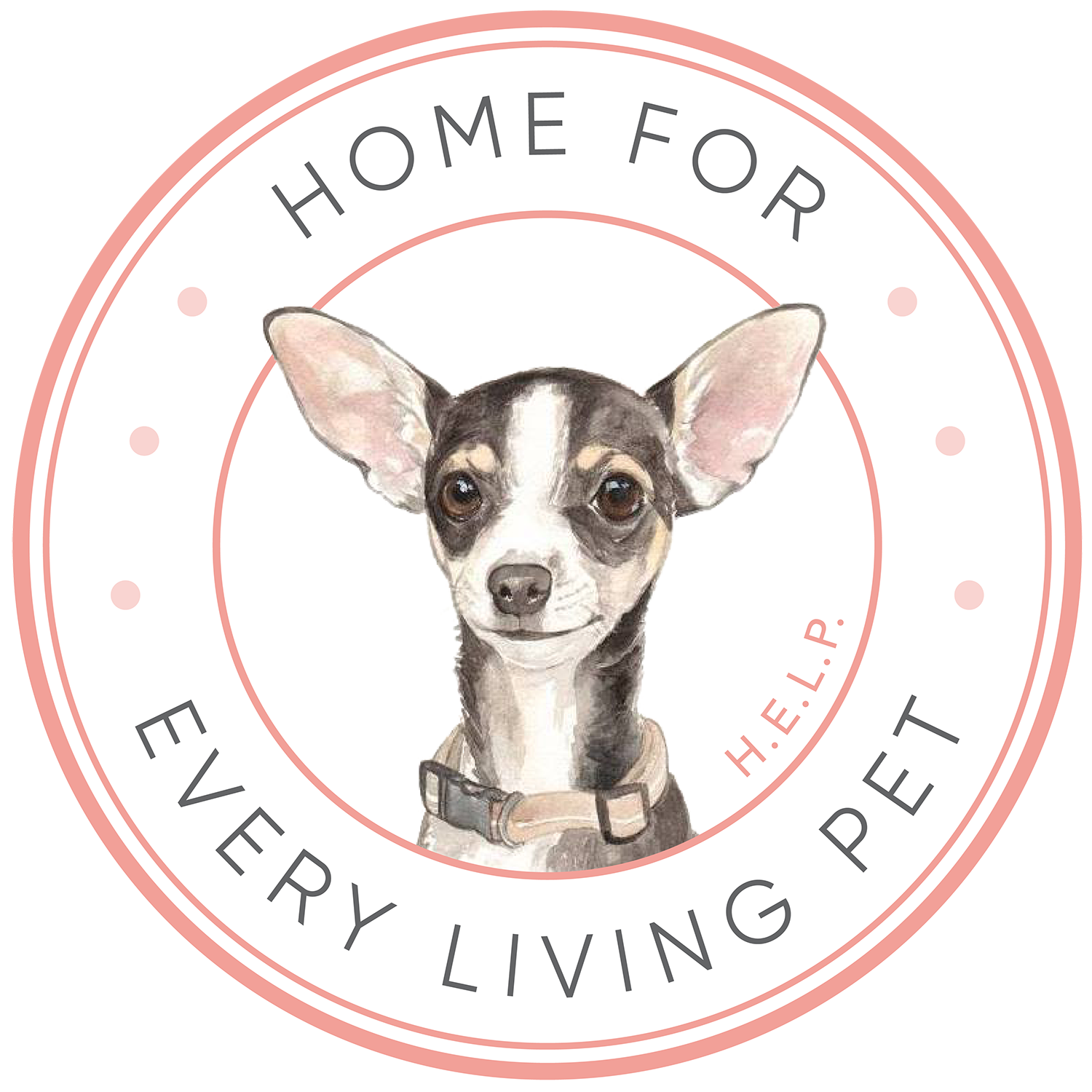 H.E.L.P. Pets – Home for Every Living Pet